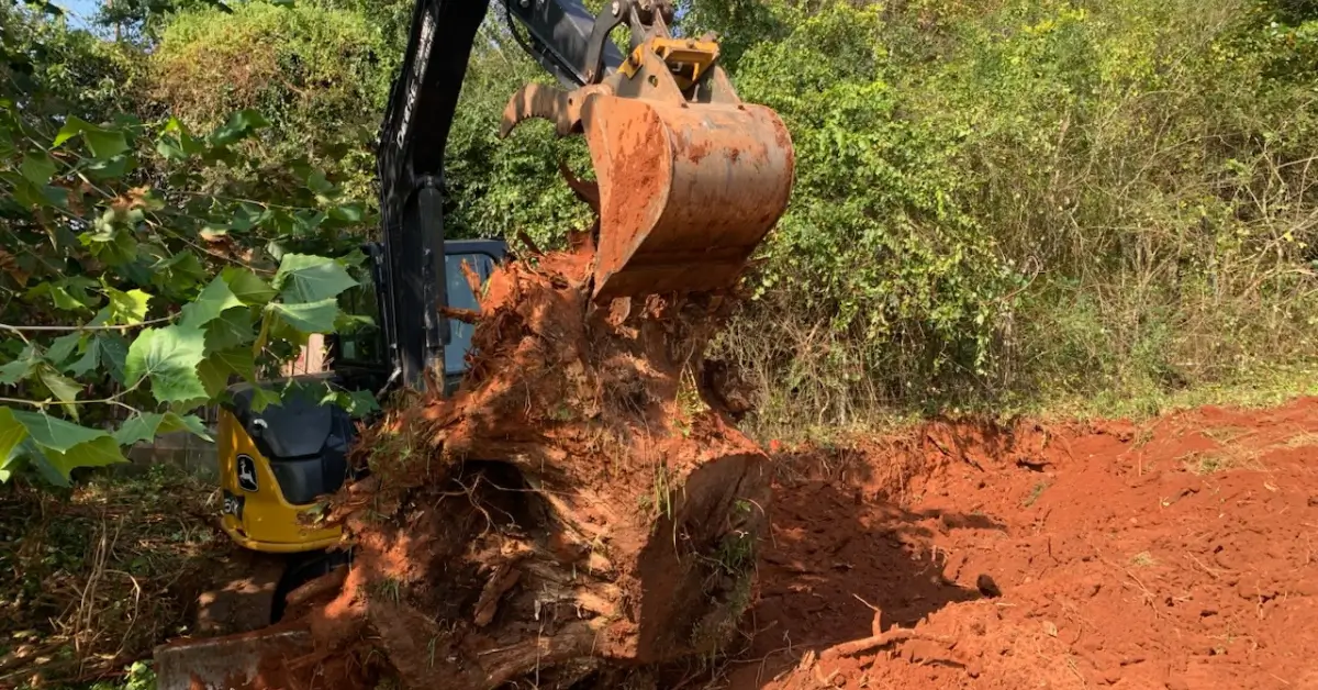 Stump Grinding & Removal | Blue Oak Affordable Tree Solutions